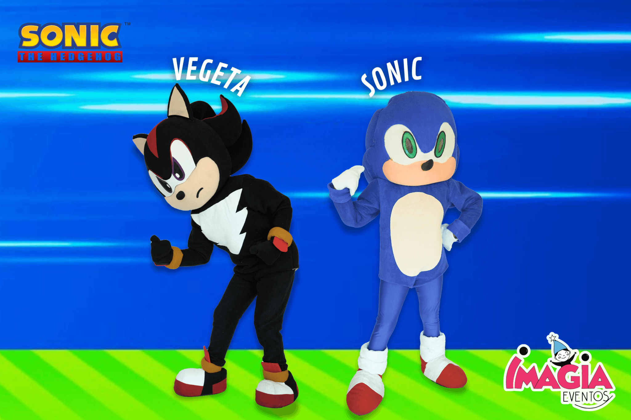 Show de Sonic - Fiestas Infantiles Imagia